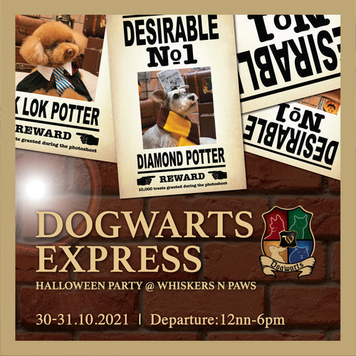 WNP Dogwarts 萬聖節狂歡派對 2021